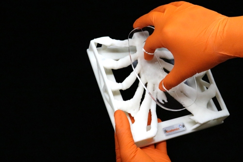 Surgical Applications