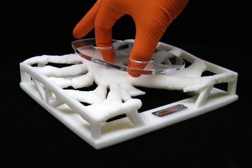 Thoracic Applications